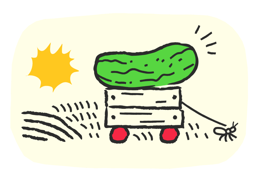 Individually Wrapped Pickles | Oh Snap! Pickles – Dilly Goods, LLC