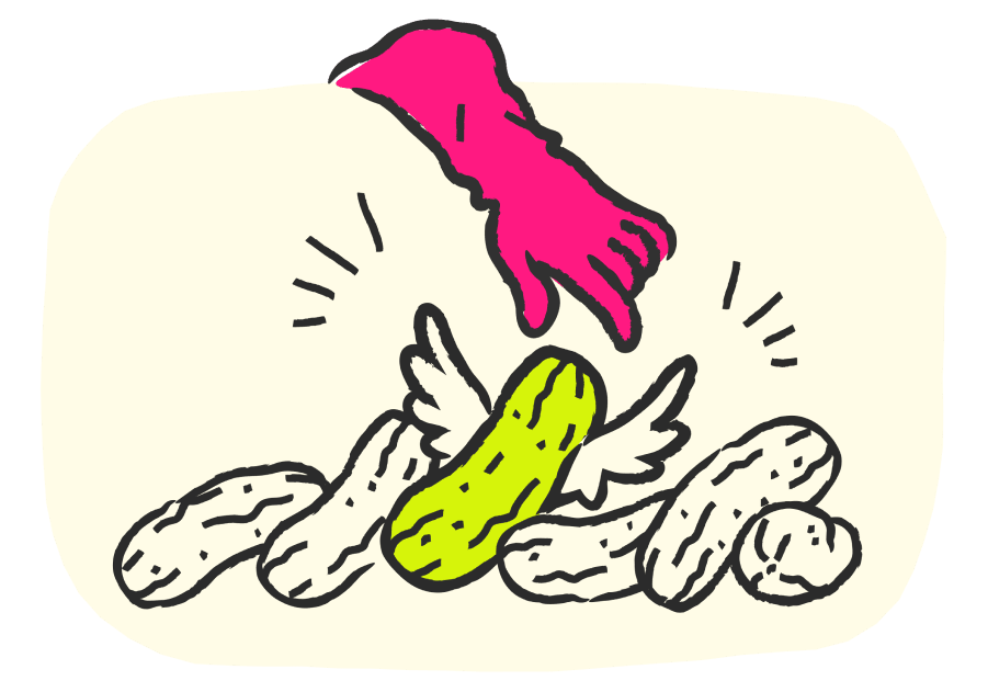 Individually Wrapped Pickles | Oh Snap! Pickles – Dilly Goods, LLC