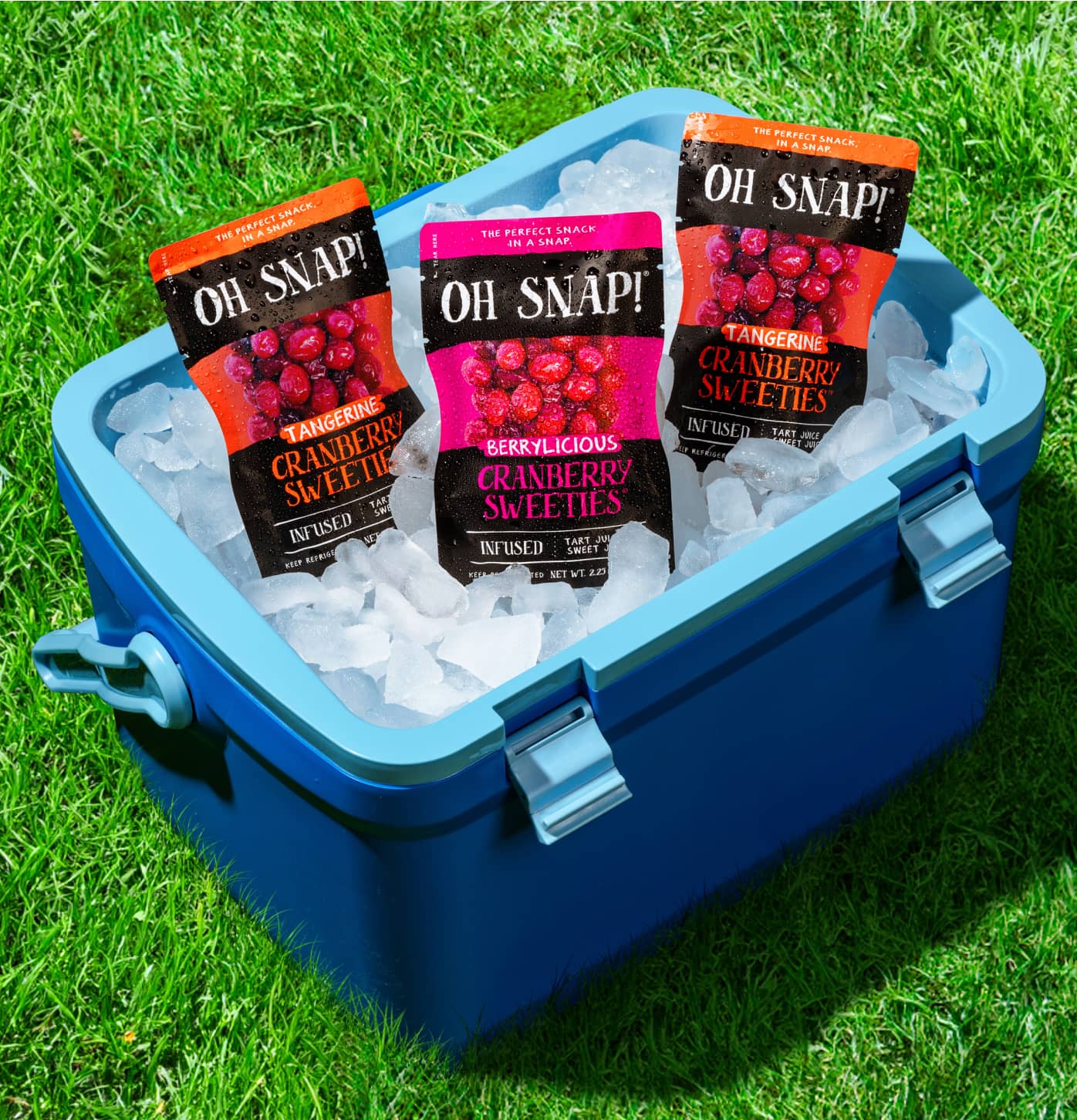 Individually Wrapped Pickles | Oh Snap! Pickles – Dilly Goods, LLC