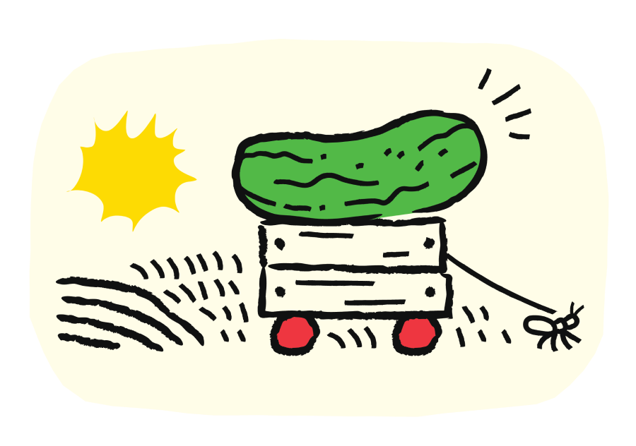 Individually Wrapped Pickles | Oh Snap! Pickles – Oh Snap! Pickling, LLC