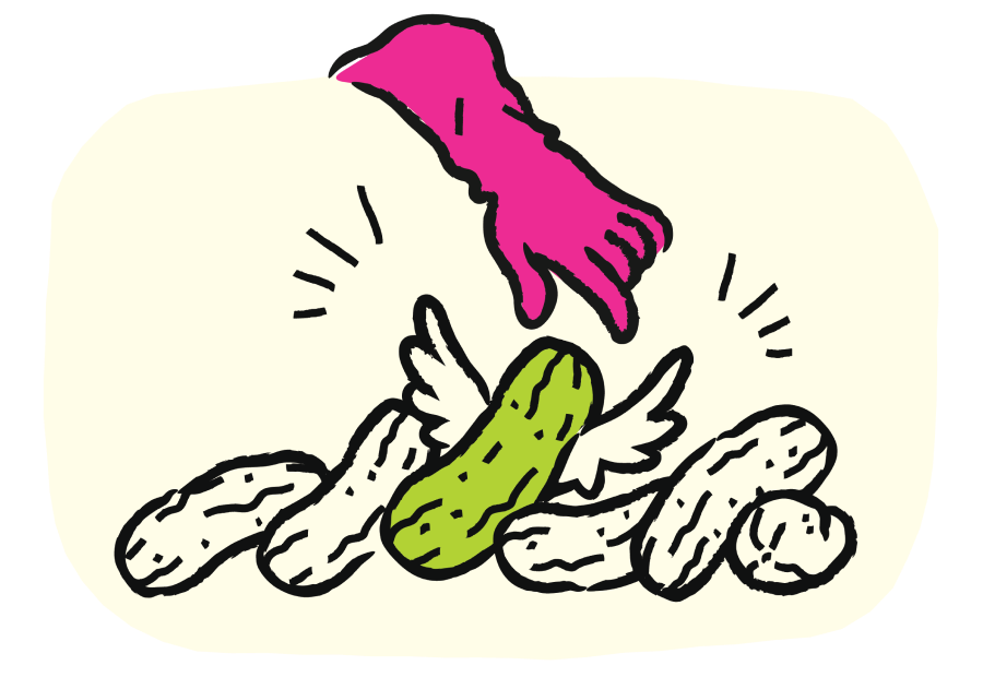 Individually Wrapped Pickles | Oh Snap! Pickles – Oh Snap! Pickling, LLC